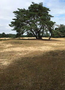 Drouwen - Underweg.eu